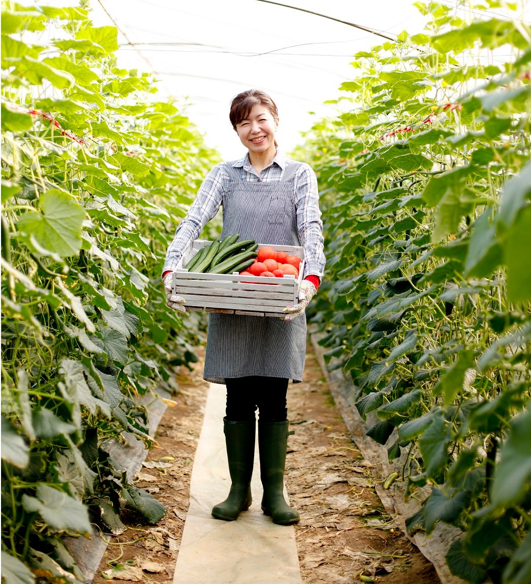 Colartix, matriz de colágeno única para el cuidado de las articulaciones